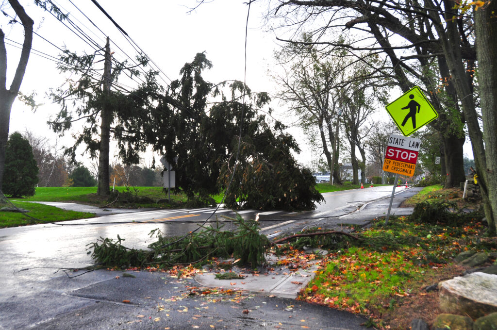 ¿Qué hacer antes, durante y después de una tormenta o huracán?