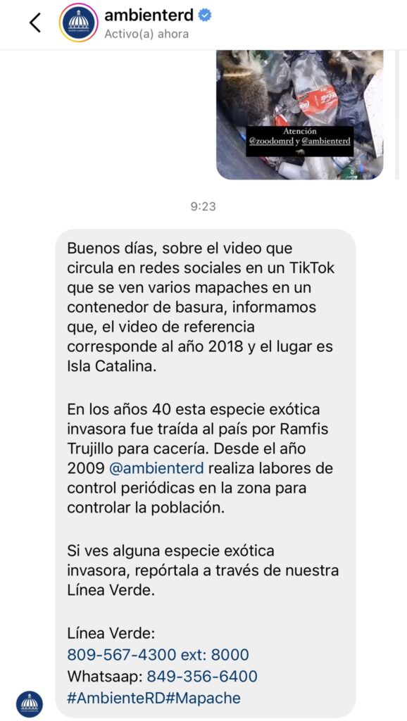 ¿Cómo llegaron los mapaches a República Dominicana?