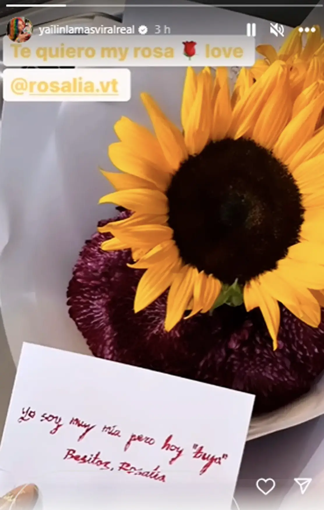 El regalo de Rosalia para Yailin La Más Viral