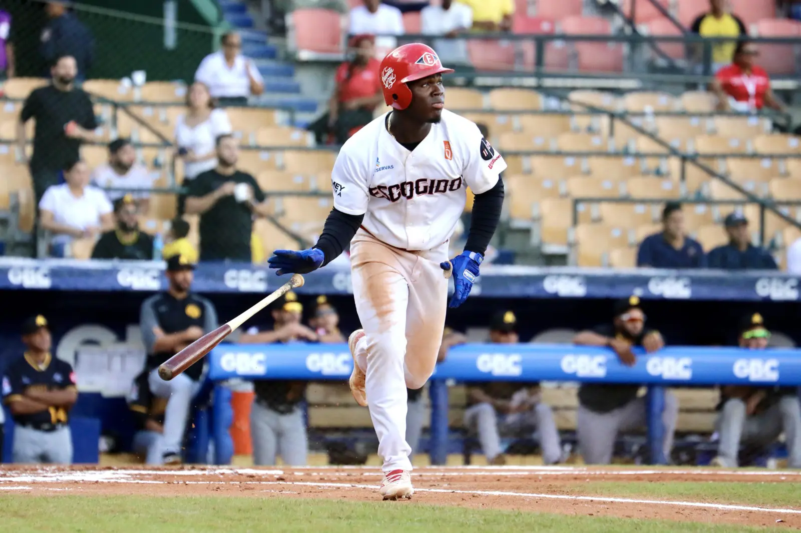 Leones del Escogido vencen séptimo seguido a las Águilas