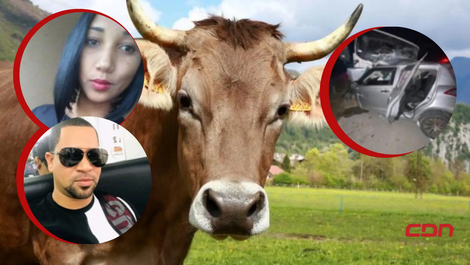 Dos personas pierden la vida tras chocar con una vaca en Miches