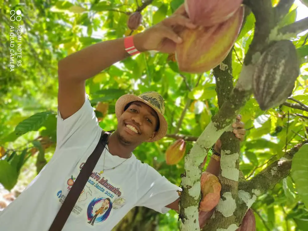 Hato Mayor vive un renacer con la producción del Cacao