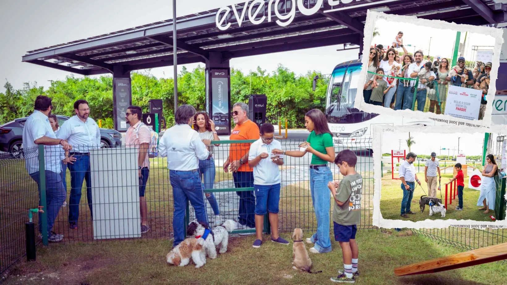 Evergo y Grupo Mallén lanzan innovador parque canino