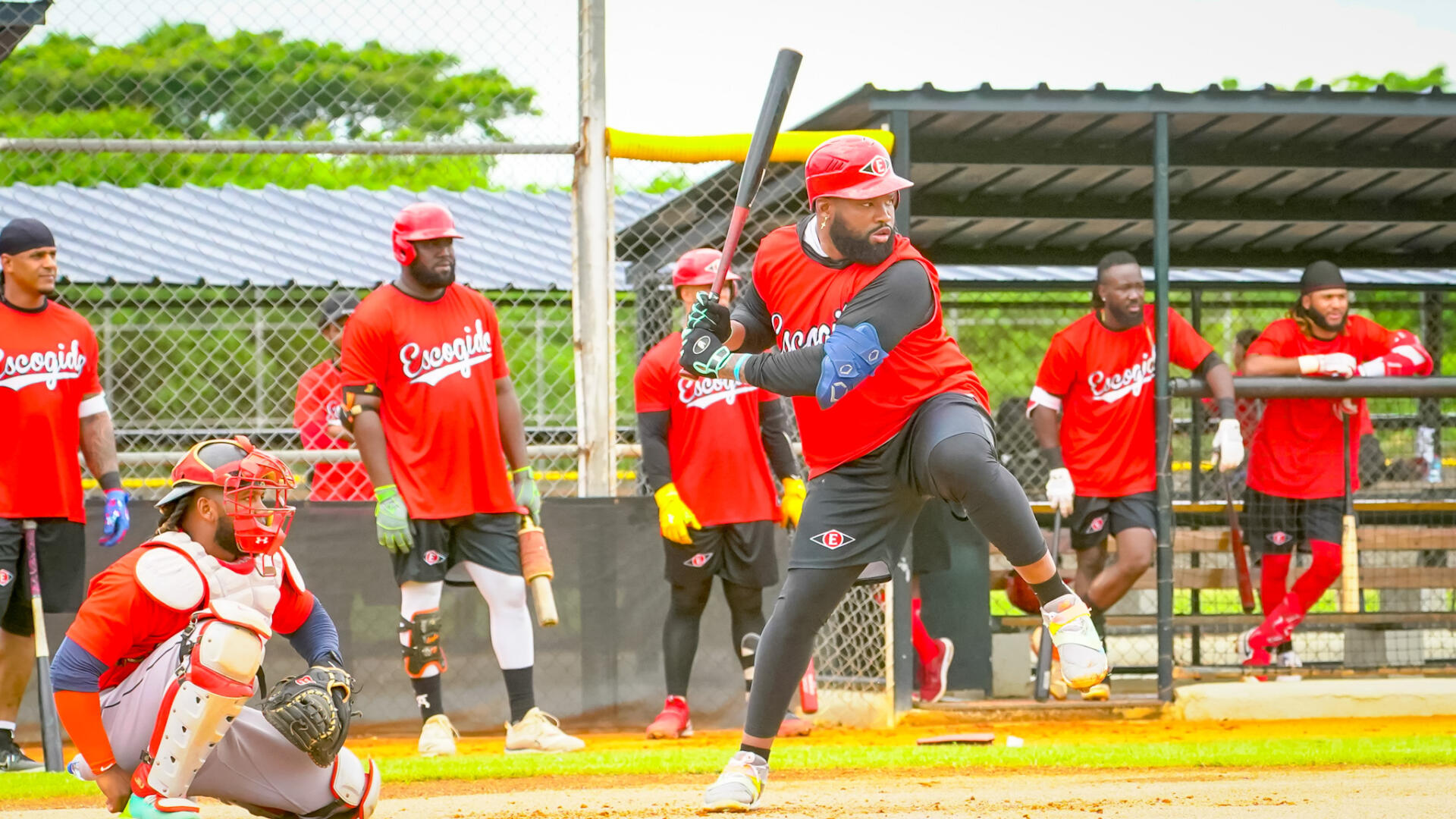 Leones del Escogido anuncian sus juegos de pretemporada