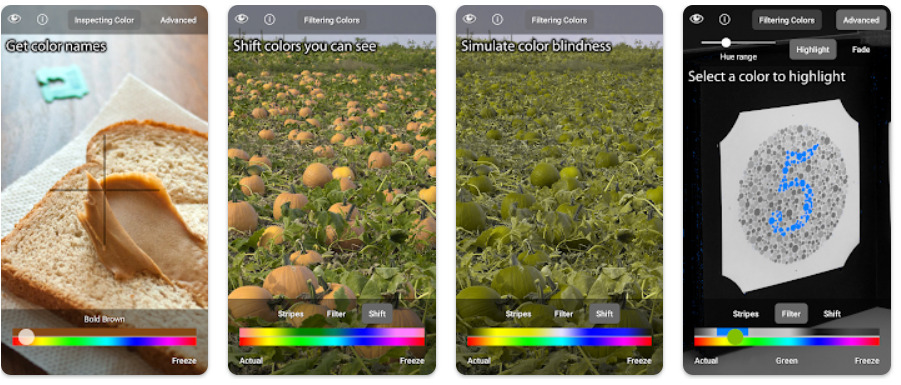 ¿Cómo ven el mundo los daltónicos?