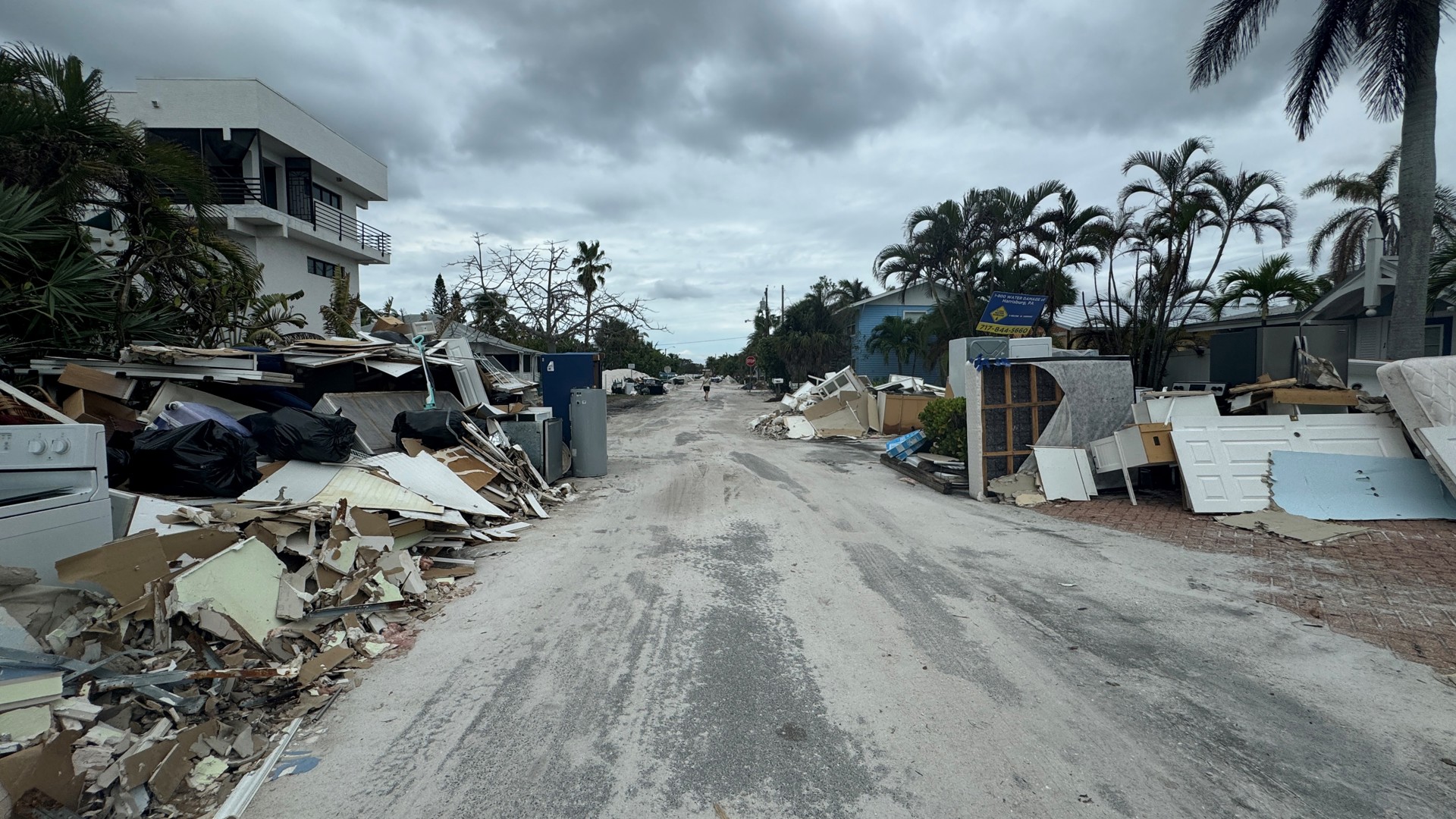 Huracán Milton: solo gallos quedaron en calles de Tampa Bay