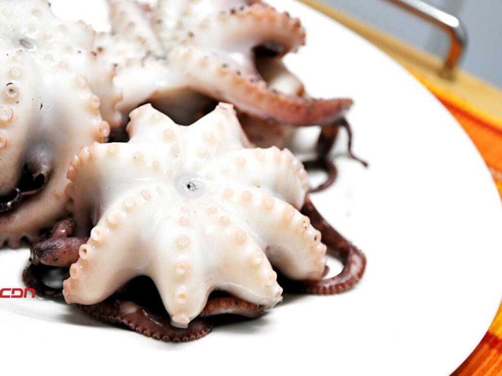 Hoy es Día Internacional del Pulpo