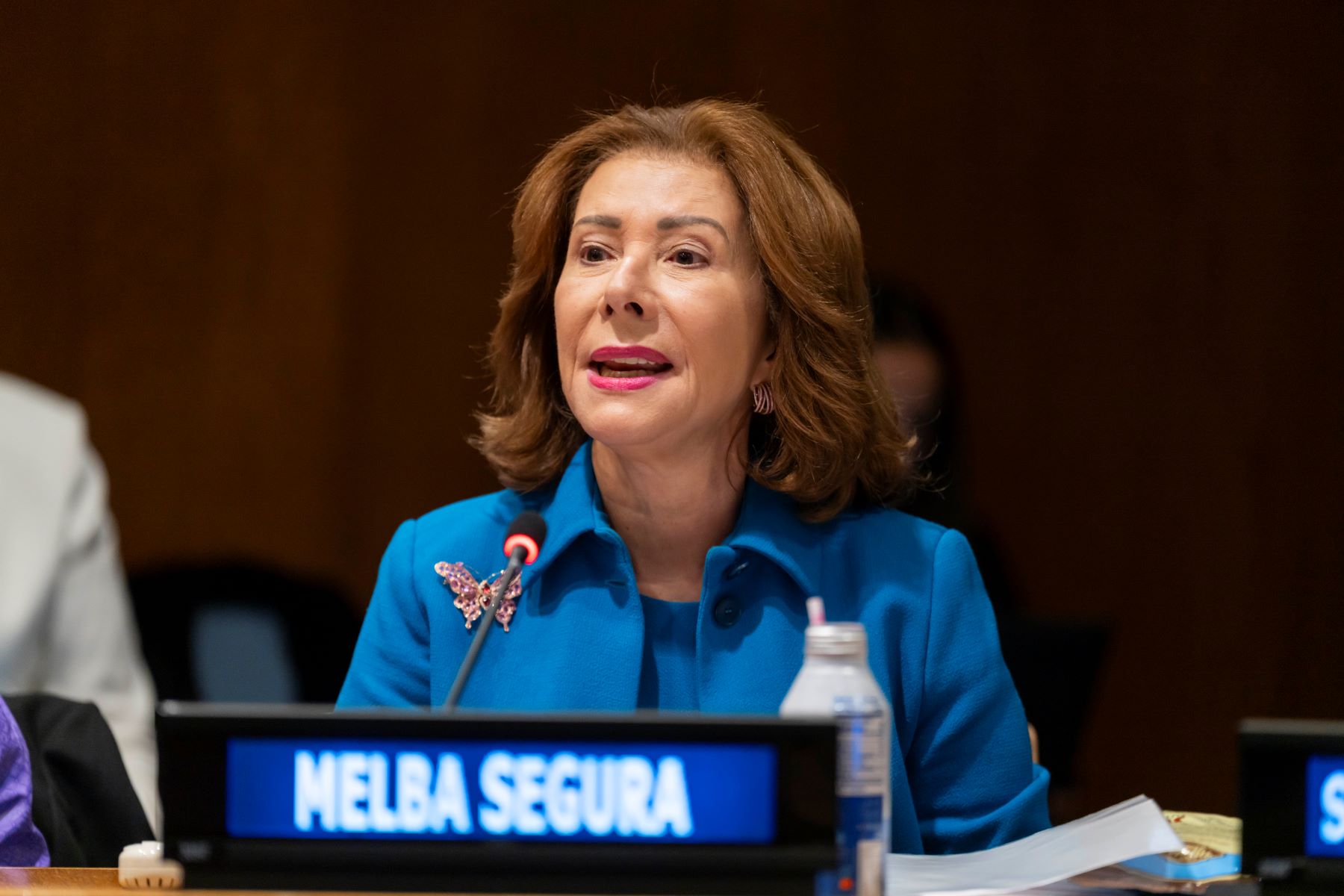 Melba Segura de Grullón presenta en la ONU avances de mujeres