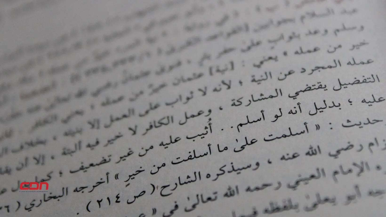 Día Internacional de la Lengua Árabe: ¿Por qué celebra este día?