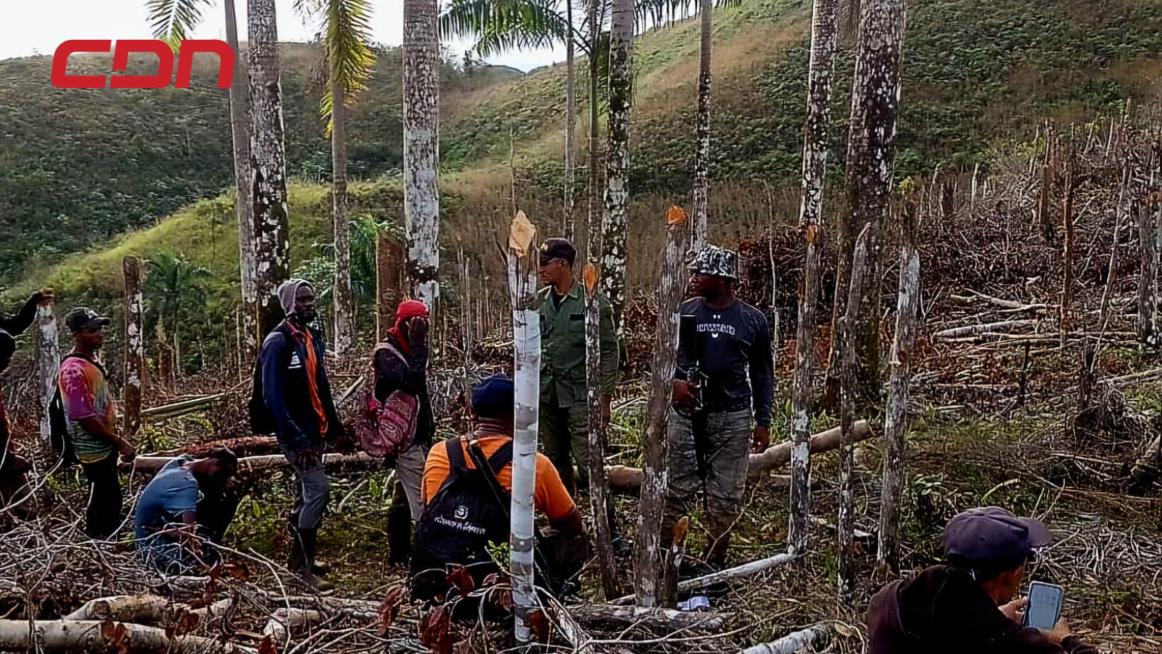 Senpa apresa haitianos por causar daños en Parque Los Haitises