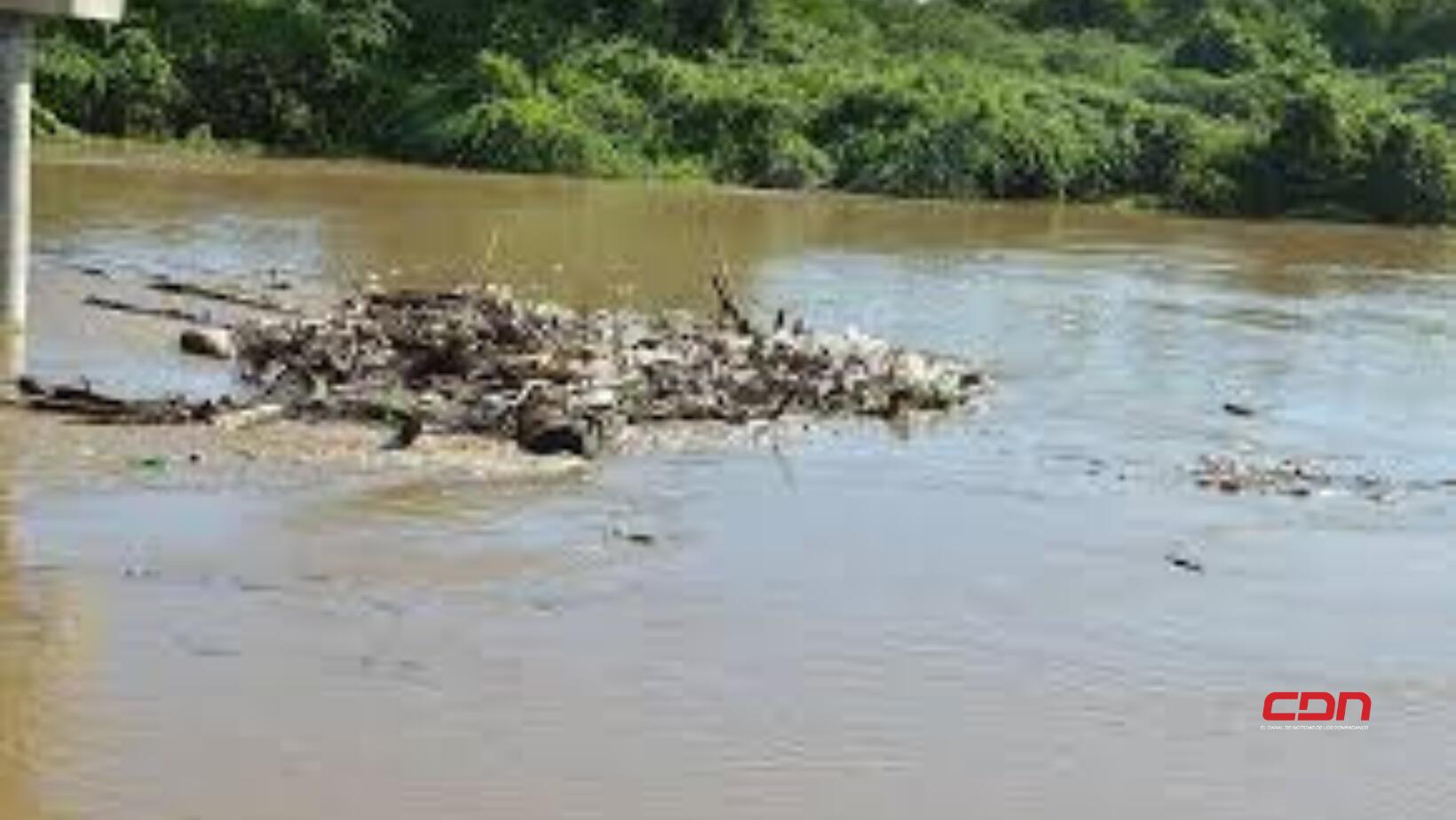 Rescate del río Yaque del Norte: ¿Cuál es su situación?