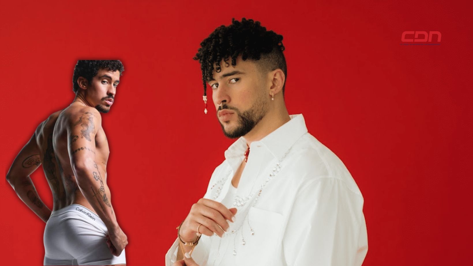 ¿Cómo Bad Bunny se convirtió en un referente global?