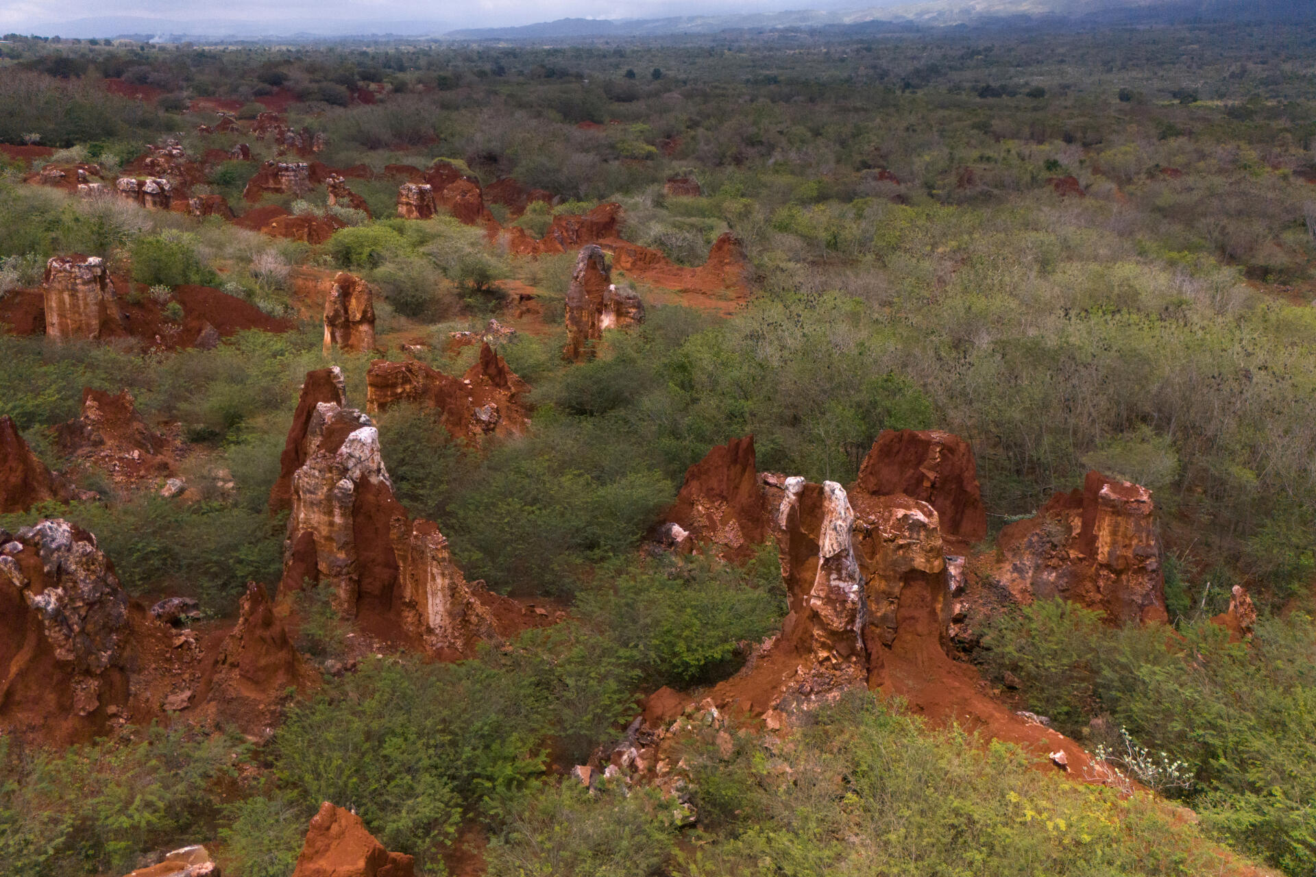 RD con la vista puesta en tierras raras en plena guerra comercial