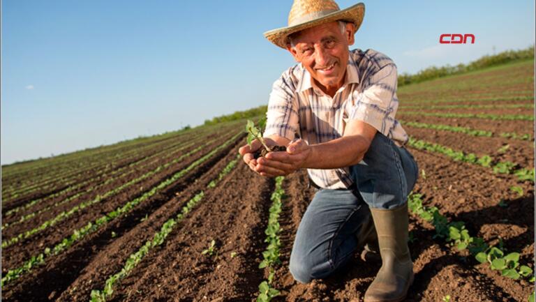 Día del Agricultor: reconocimiento a quienes alimentan a RD