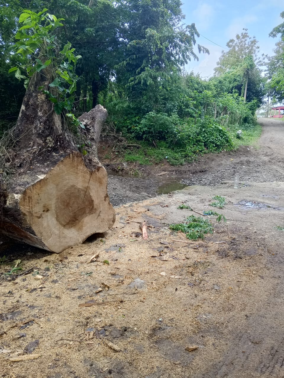 Puente en Capote, Hato Mayor, a punto de colapsar tras lluvias
