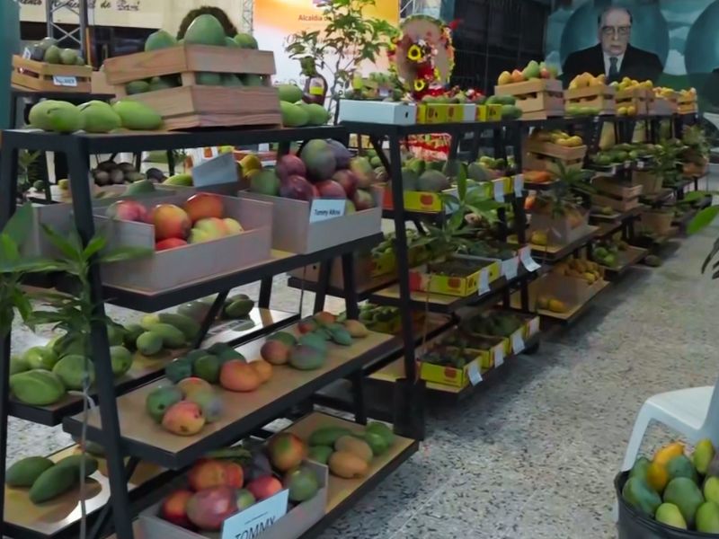 Inauguran Expo Mango 2025 en Baní