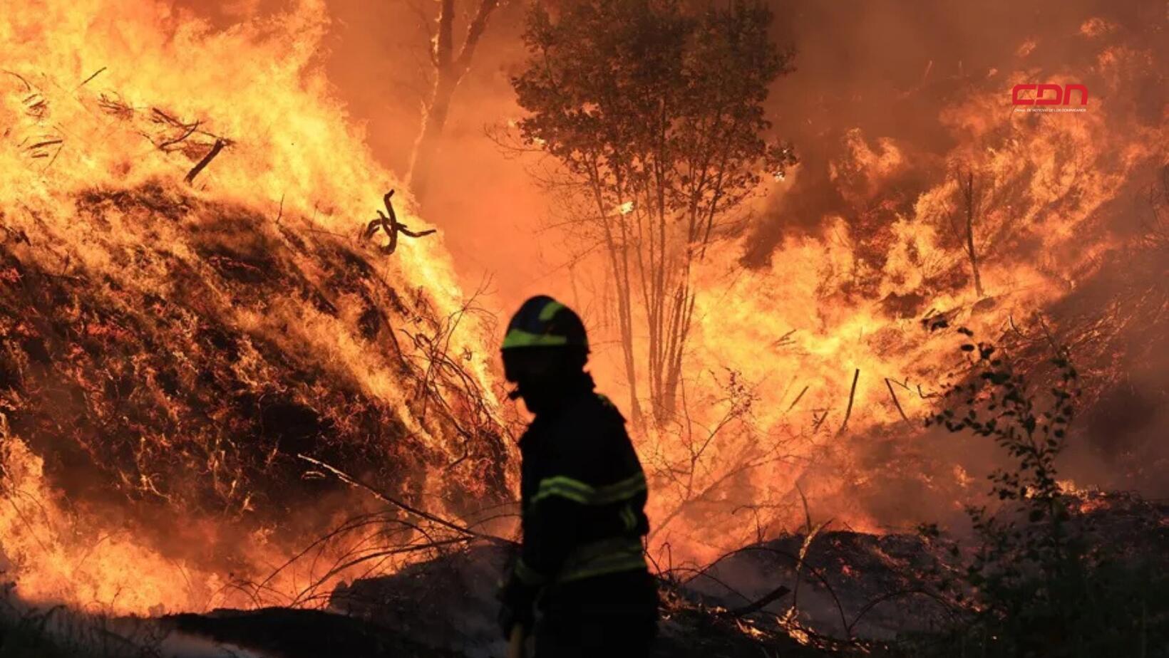 Controlan dos de los cuatro grandes incendios activos en Portugal - CDN ...