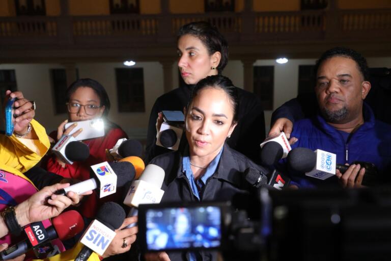 Faride Raful defiende cifras de reducción del crimen