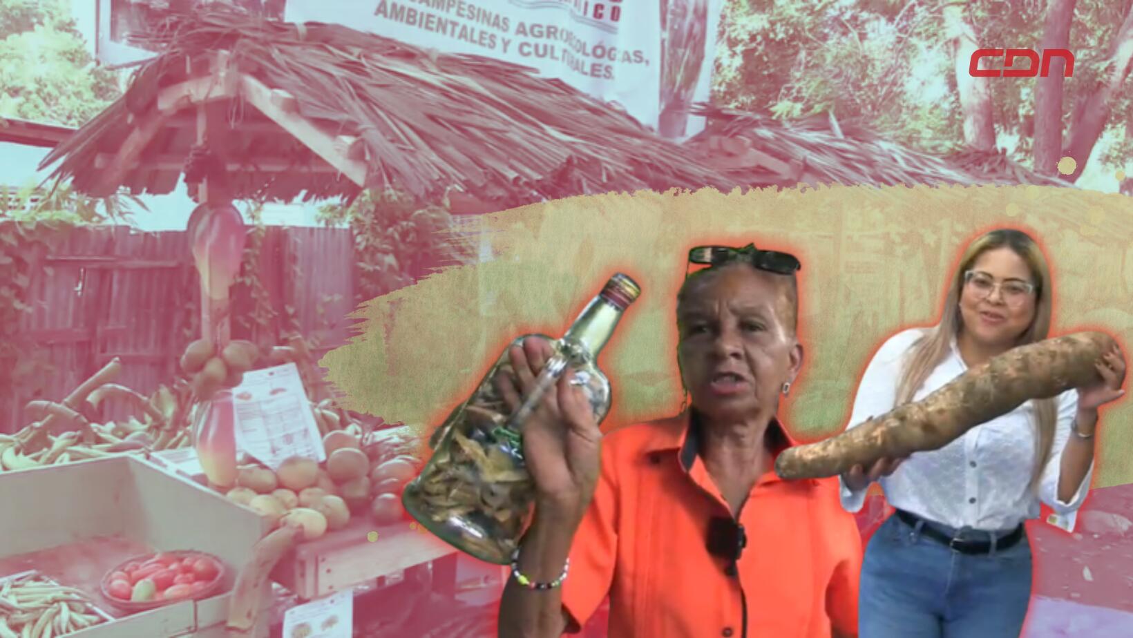 “Levanta muerto” causa furor en feria agroecológica de Azua