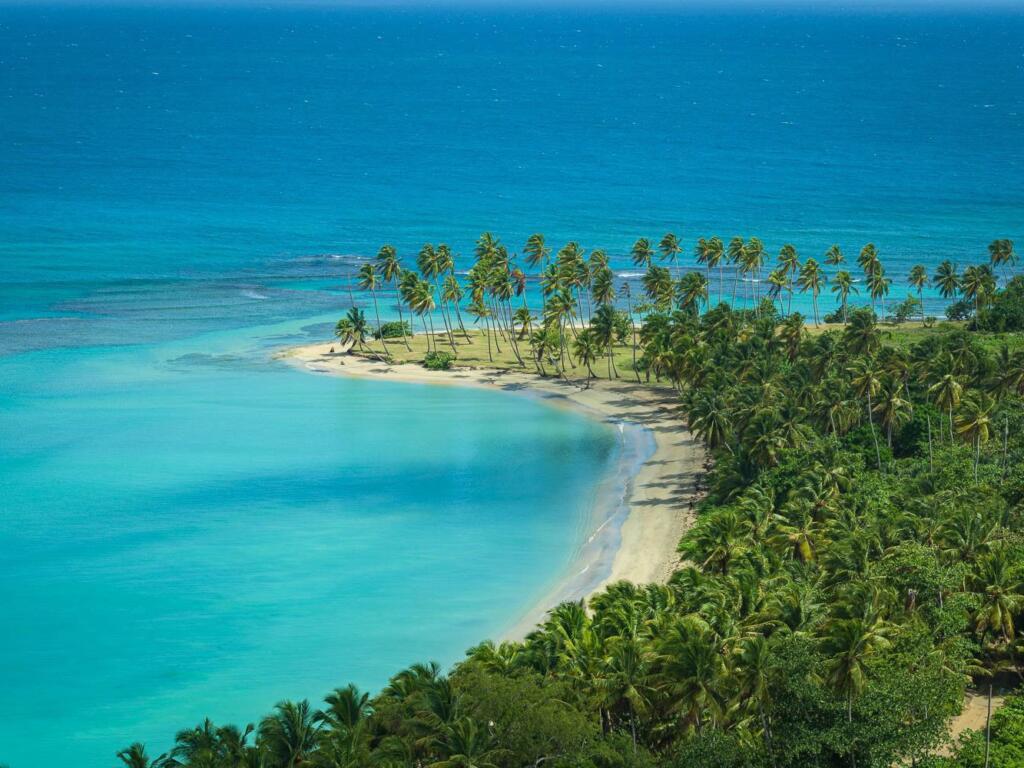 Tropicalia presenta su informe de sostenibilidad