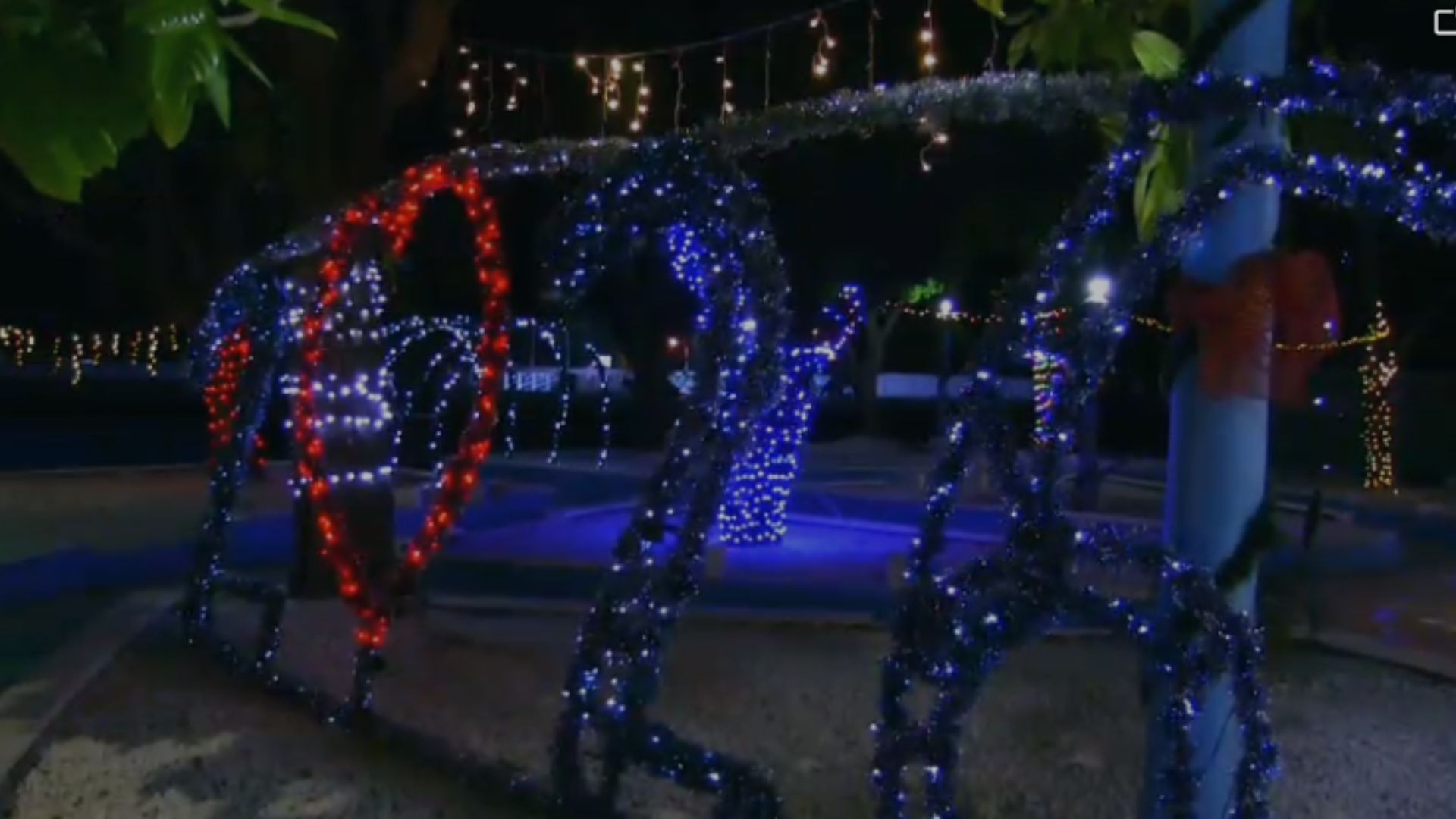 Proyecto 2-C en Azua recibe la Navidad con obras y transparencia