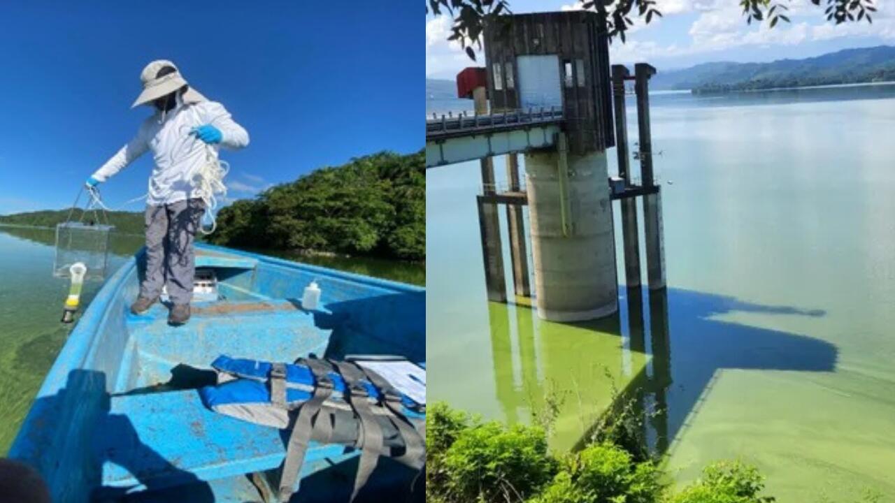 Medio Ambiente confirma origen del agua verde en Hatillo