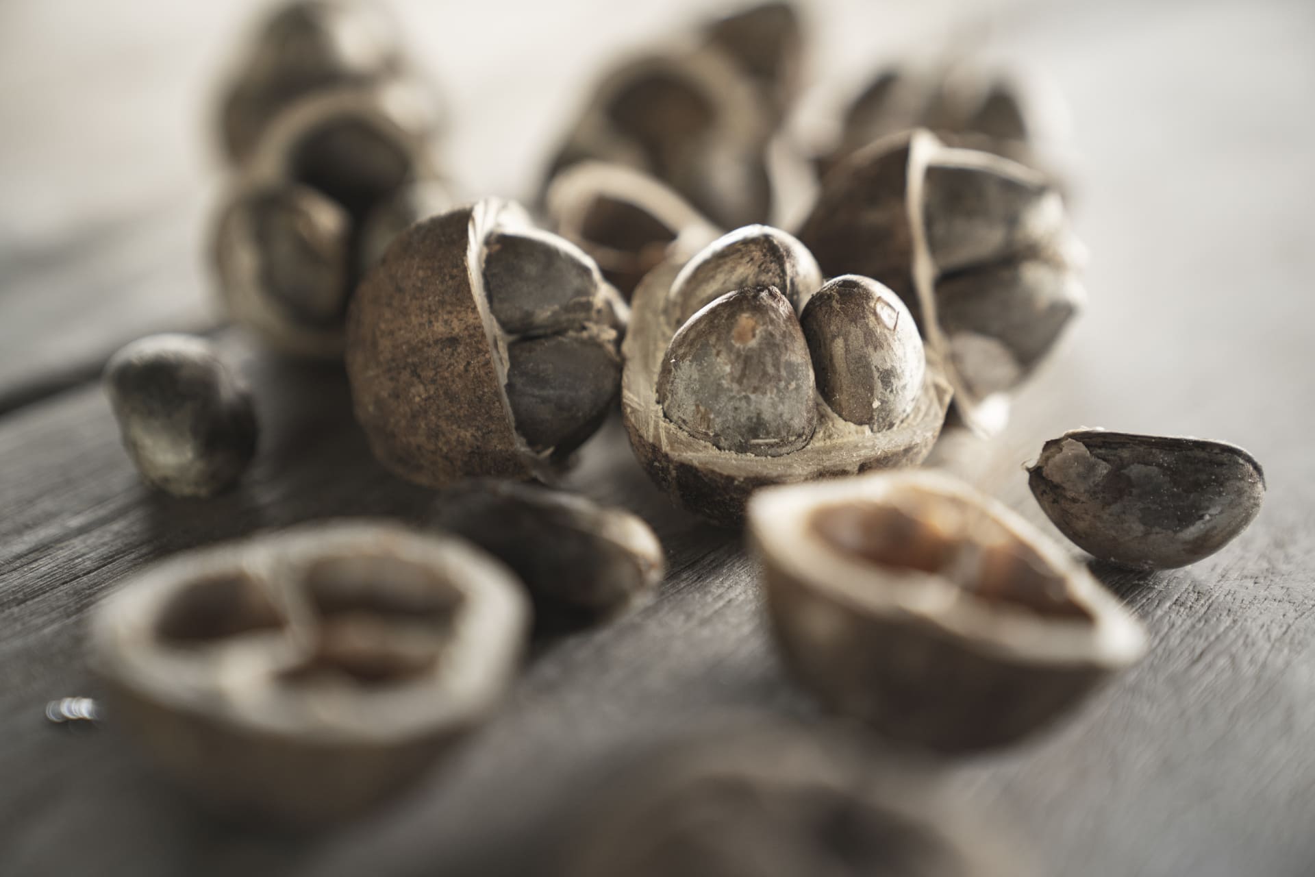 El cacay es un fruto de alto valor dermatológico