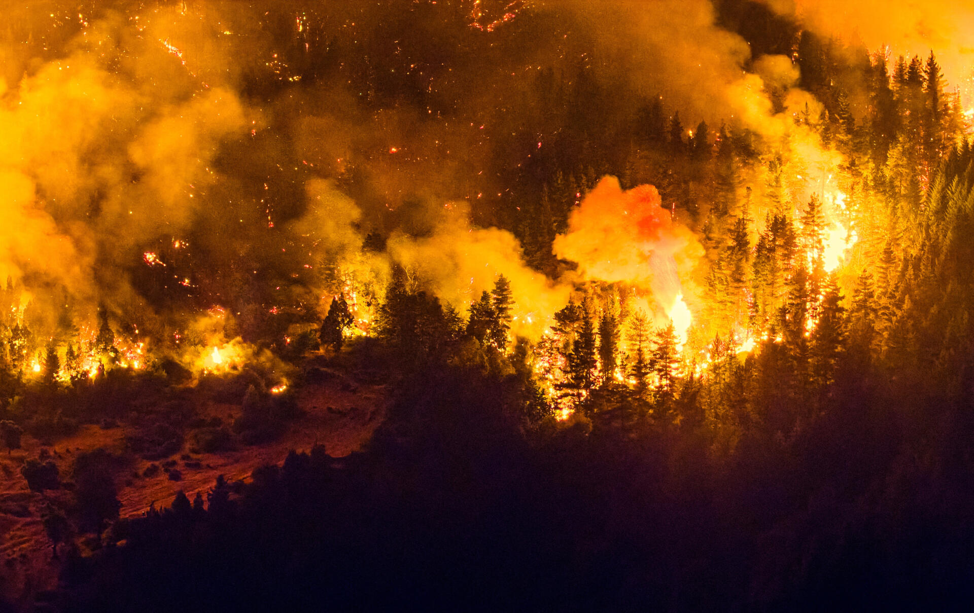Argentina declara emergencia por incendios en Patagonia