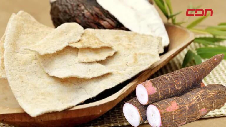 Escasez de yuca pone en jaque la producción de casabe