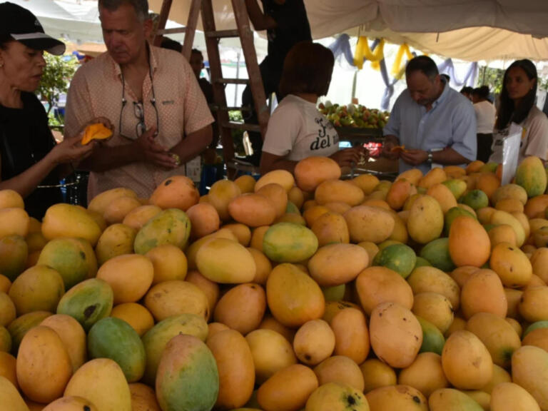 Expo Mango 2026 reúne visitantes en Baní pese a lluvias