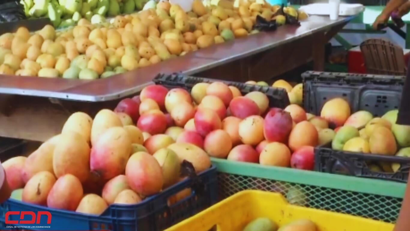 Feria del Mango de Baní celebra su edición con expectativas