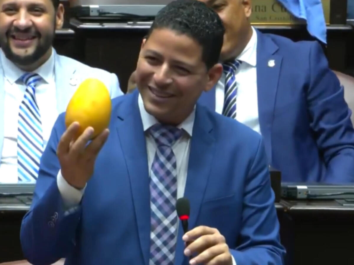 Diputado alerta sobre crisis del mango en Baní