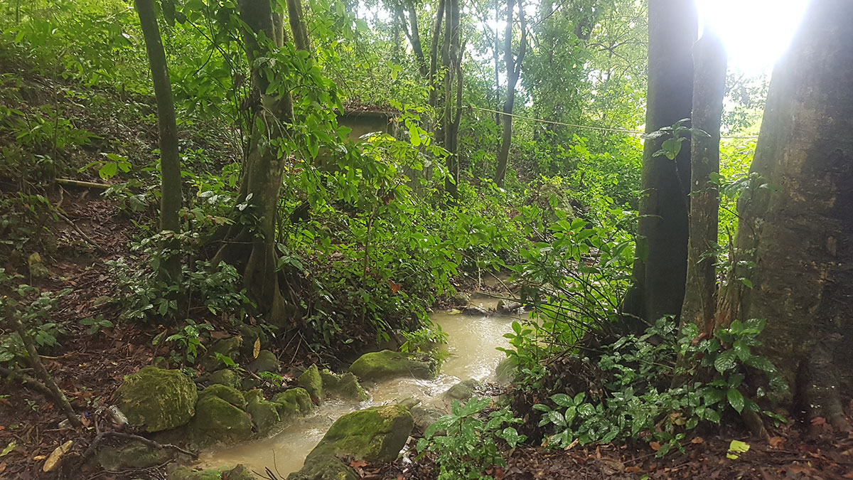 Soeci destaca rescate del pico Diego de Ocampo - Periódico elCaribe