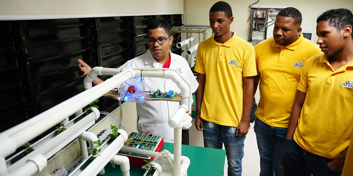 Cultivo hidropónico y el proceso innovador en RD