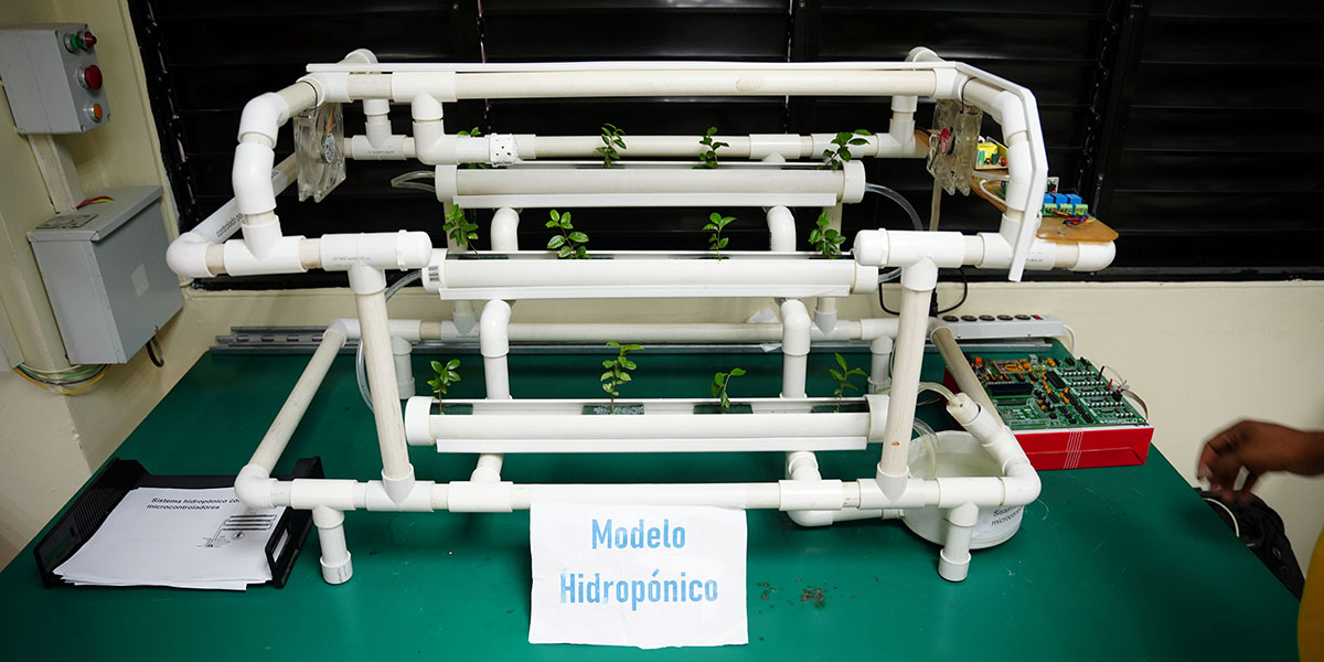 Cultivo hidropónico y el proceso innovador en RD