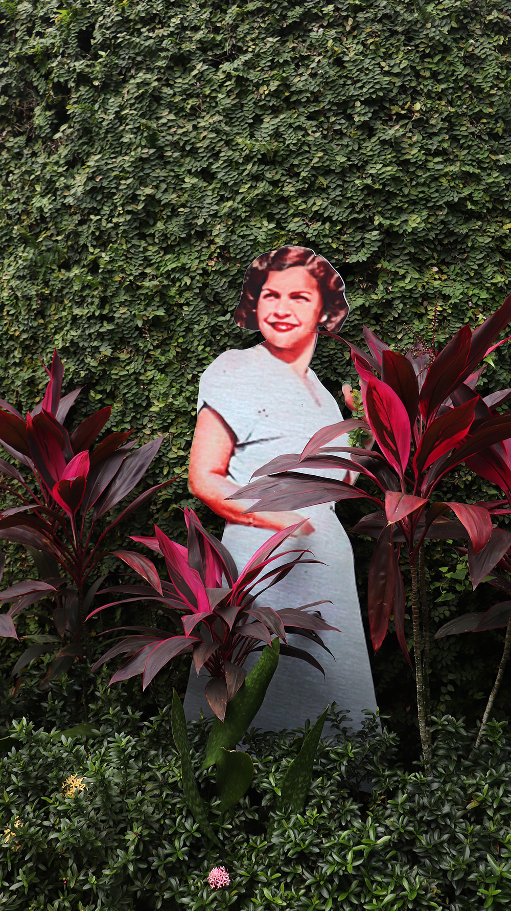 Hermanas Mirabal, eternamente vivas en el jardín de su casa museo