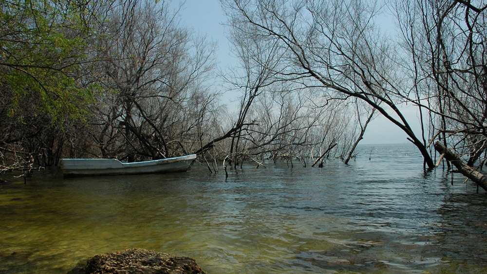 Lago Enriquillo: una joya escondida - Periódico elCaribe