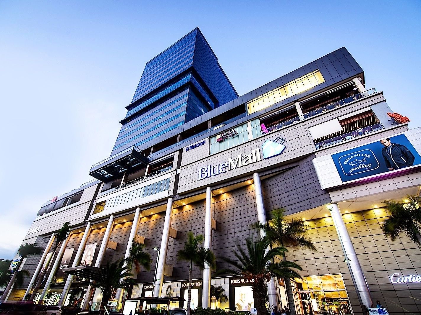 Blue Mall: cómo nació y se convirtió en ícono del lujo