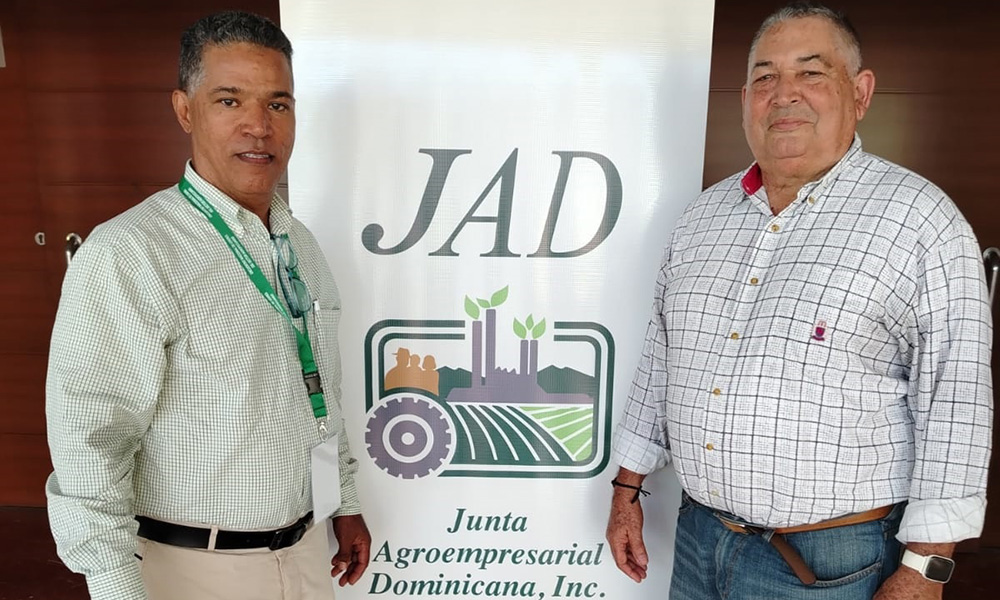 Apiario El Jaiquí, tradicióny el relevo en la apicultura - Periódico ...