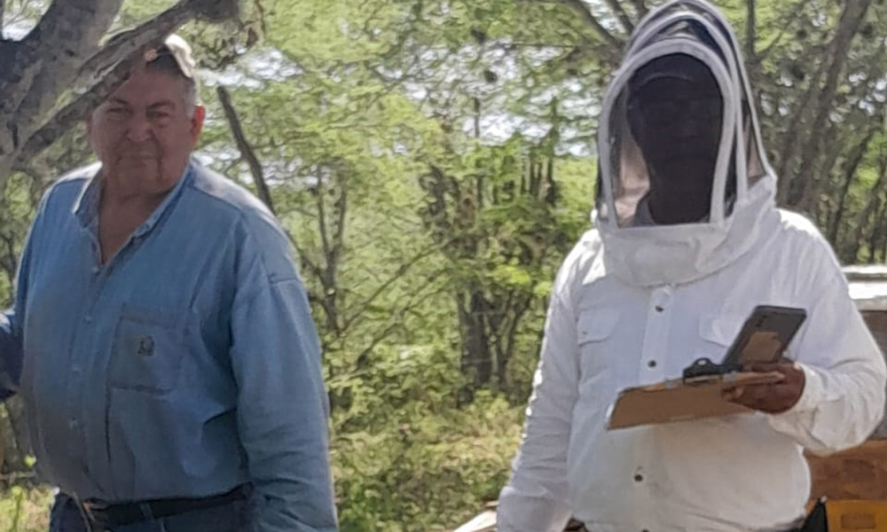 Apiario El Jaiquí, tradición y el relevo en la apicultura